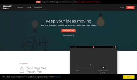 Audio Hosting: Best Music File Sharing Sites, Music Cloud storage